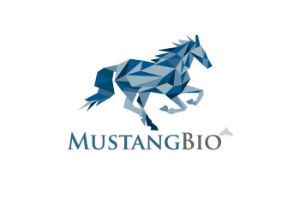 Mustang Bio's MB-107 gets EMA PRIME designation for ‘bubble boy diseas ...